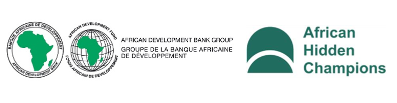 African Development Bank Group (AfDB) / Press release | African Hidden ...